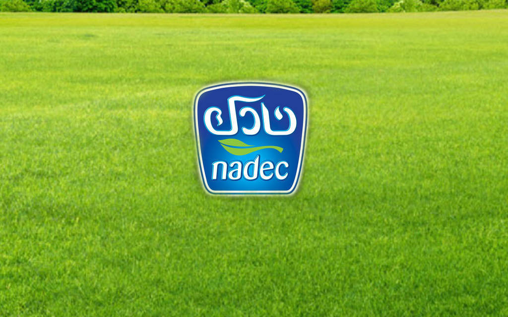 Saudi Nadec to develop land plot in Egypt - Mubasher Info