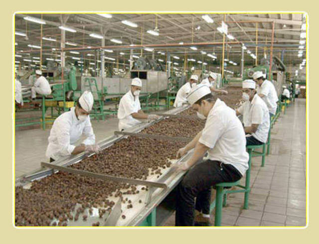 Wafrah set to launch commercial production of dates factory - Mubasher Info