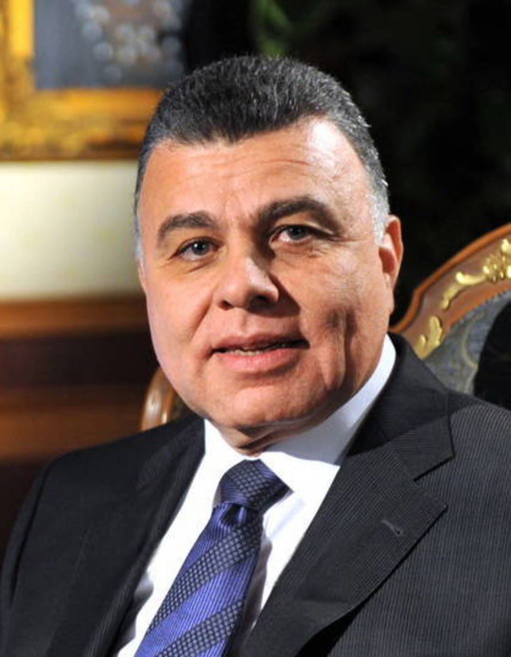 GAFI chief: KSA has EGP 137 bln investments in Egypt - Mubasher Info