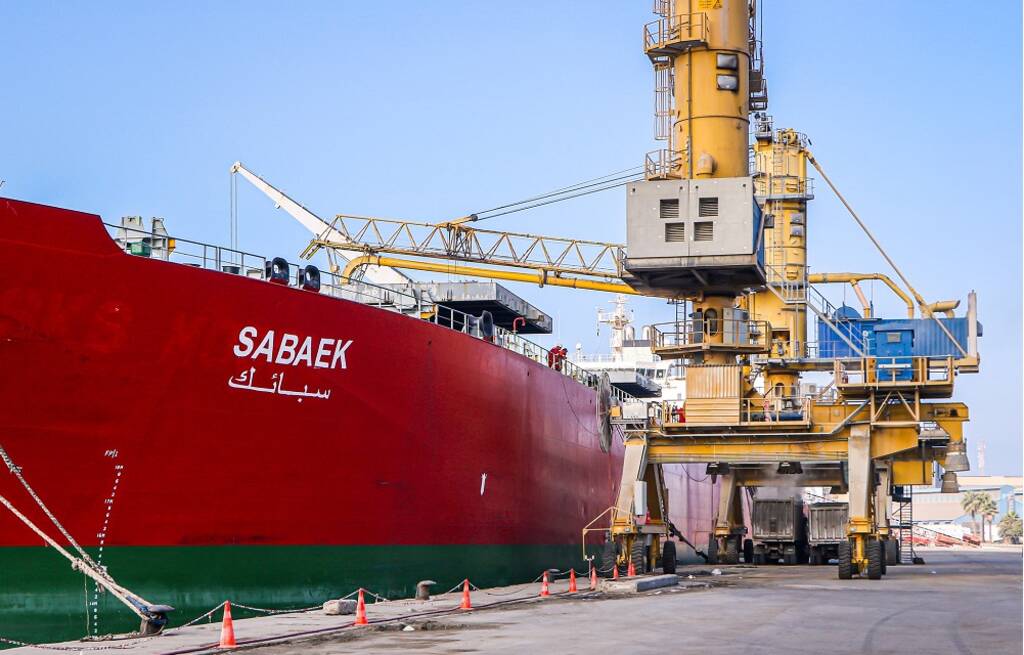 مصر تستقبل 96.2 ألف طن قمح من روسيا - معلومات مباشر