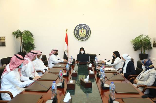 Egypt, KSA launch website on MSME development grant - Mubasher Info