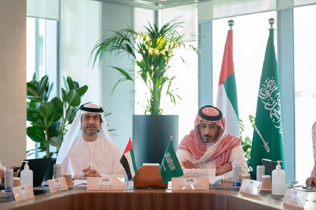 UAE hosts Finance, Investment Committee of Saudi-Emirati Coordination ...