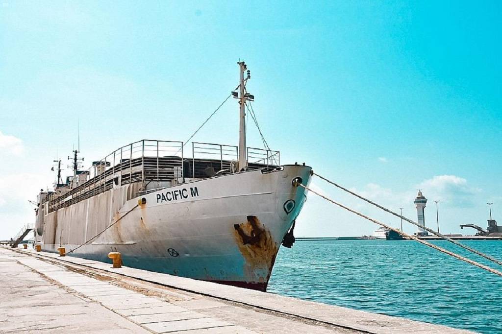 Jizan Port receives first livestock shipment from Romania - Mubasher Info